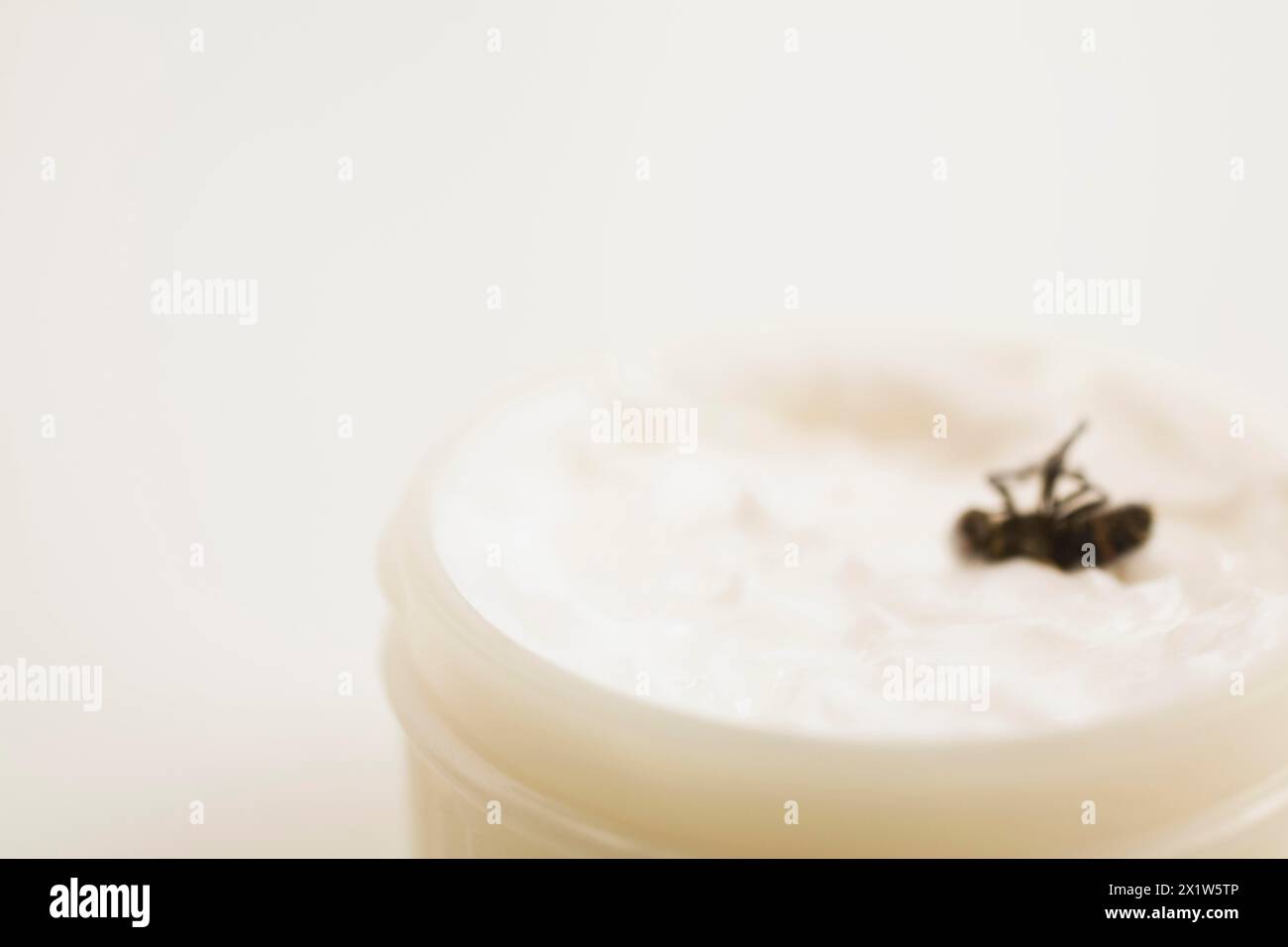 Close-up of dead Musca domestica, Common House Fly in plastic container ...