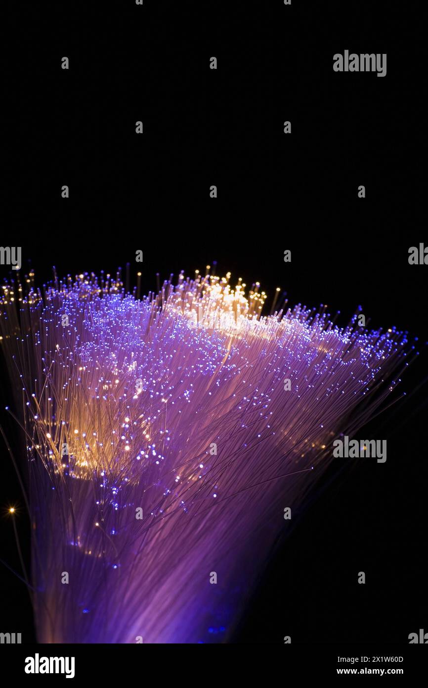 Close-up of purple, blue and white lighted fibre optic cables, Studio ...