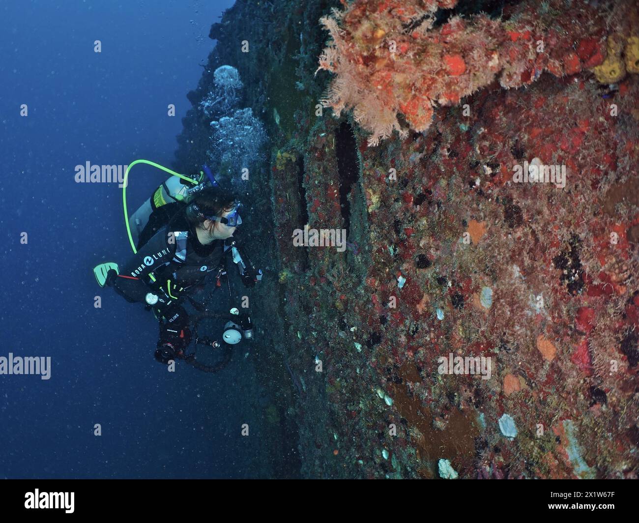 Diver looking into the porthole of the wreck of the USS Spiegel Grove, dive site John Pennekamp ...