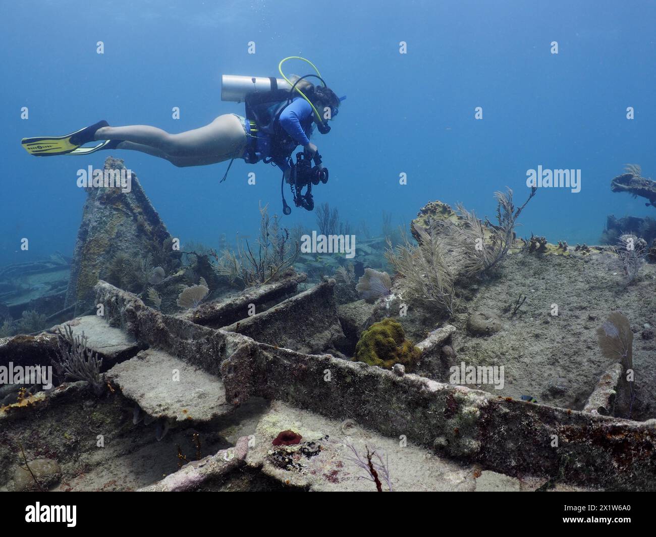 Diver swimming over the wreck of the Benwood. Dive site John Pennekamp ...