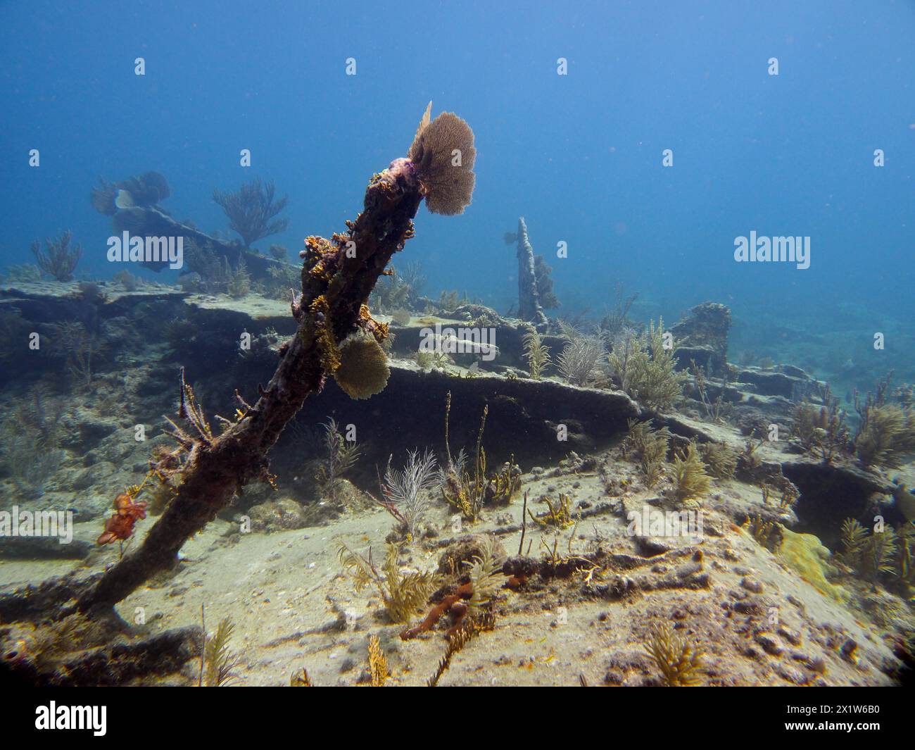 Wreck of the Benwood. Dive site John Pennekamp Coral Reef State Park ...