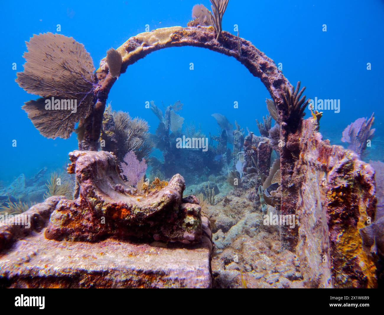 Wreck of the Benwood, overgrown with common sea fan (Gorgonia ventalina ...