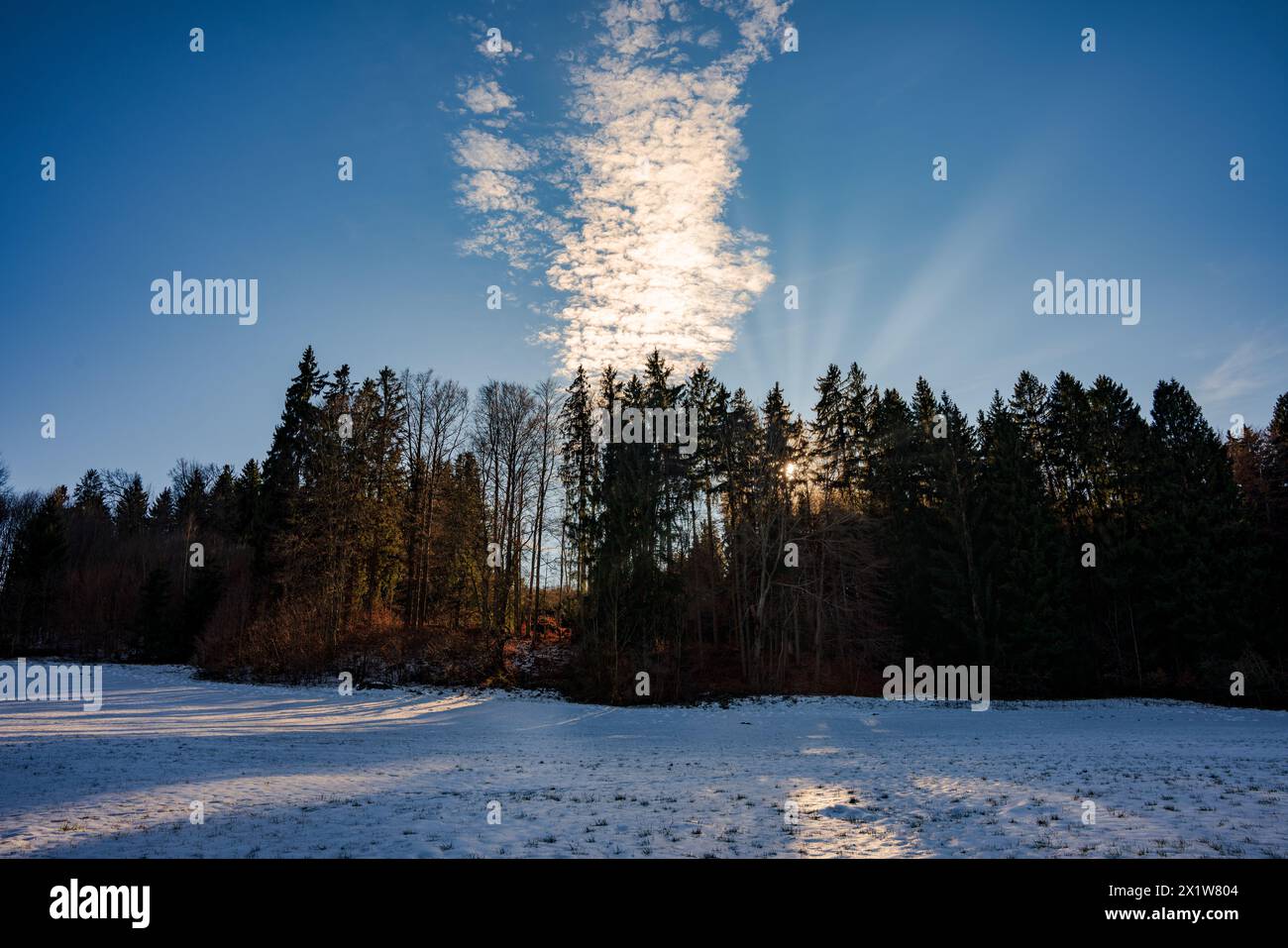 Winter, Landscape, Bavaria, snow, alps, forest, frozen Stock Photo - Alamy