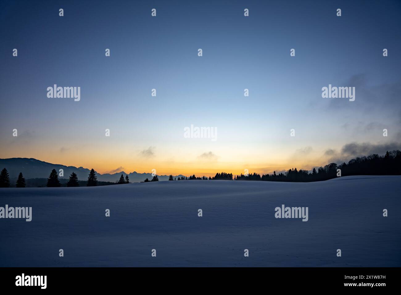 Winter, Landscape, Bavaria, snow, alps, forest, frozen Stock Photo - Alamy