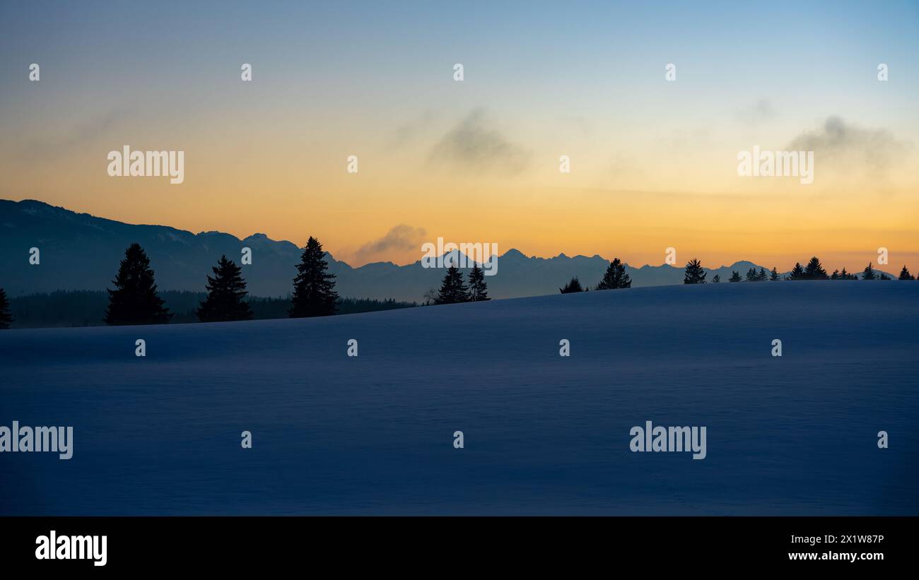 Winter, Landscape, Bavaria, snow, alps, forest, frozen Stock Photo - Alamy