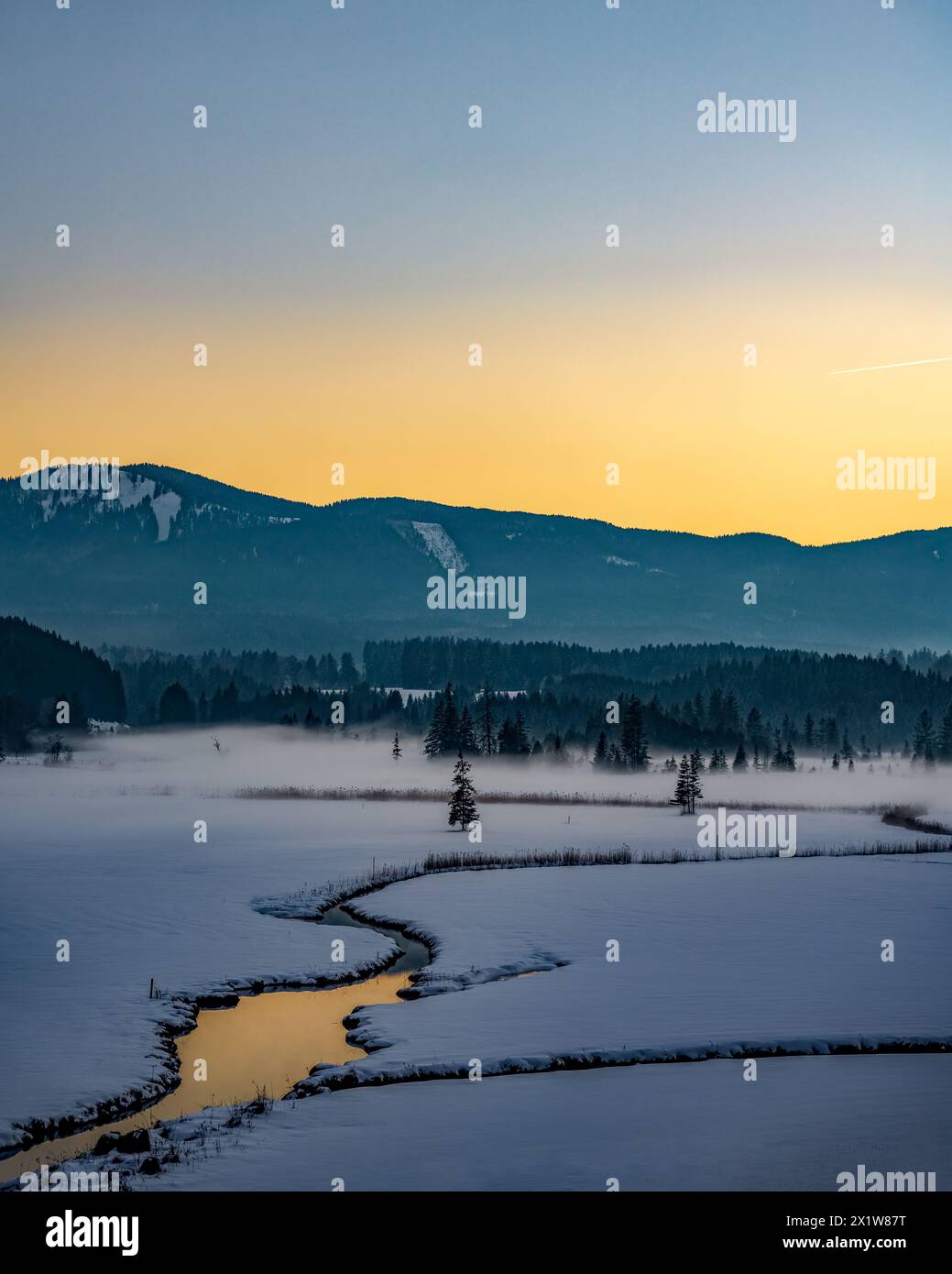 Winter, Landscape, Bavaria, snow, alps, forest, frozen Stock Photo - Alamy
