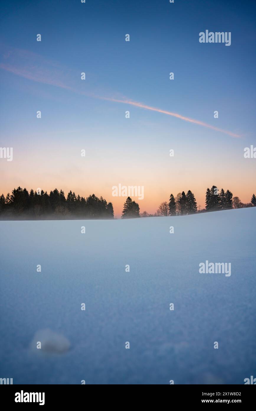 Winter, Landscape, Bavaria, snow, alps, forest, frozen Stock Photo - Alamy