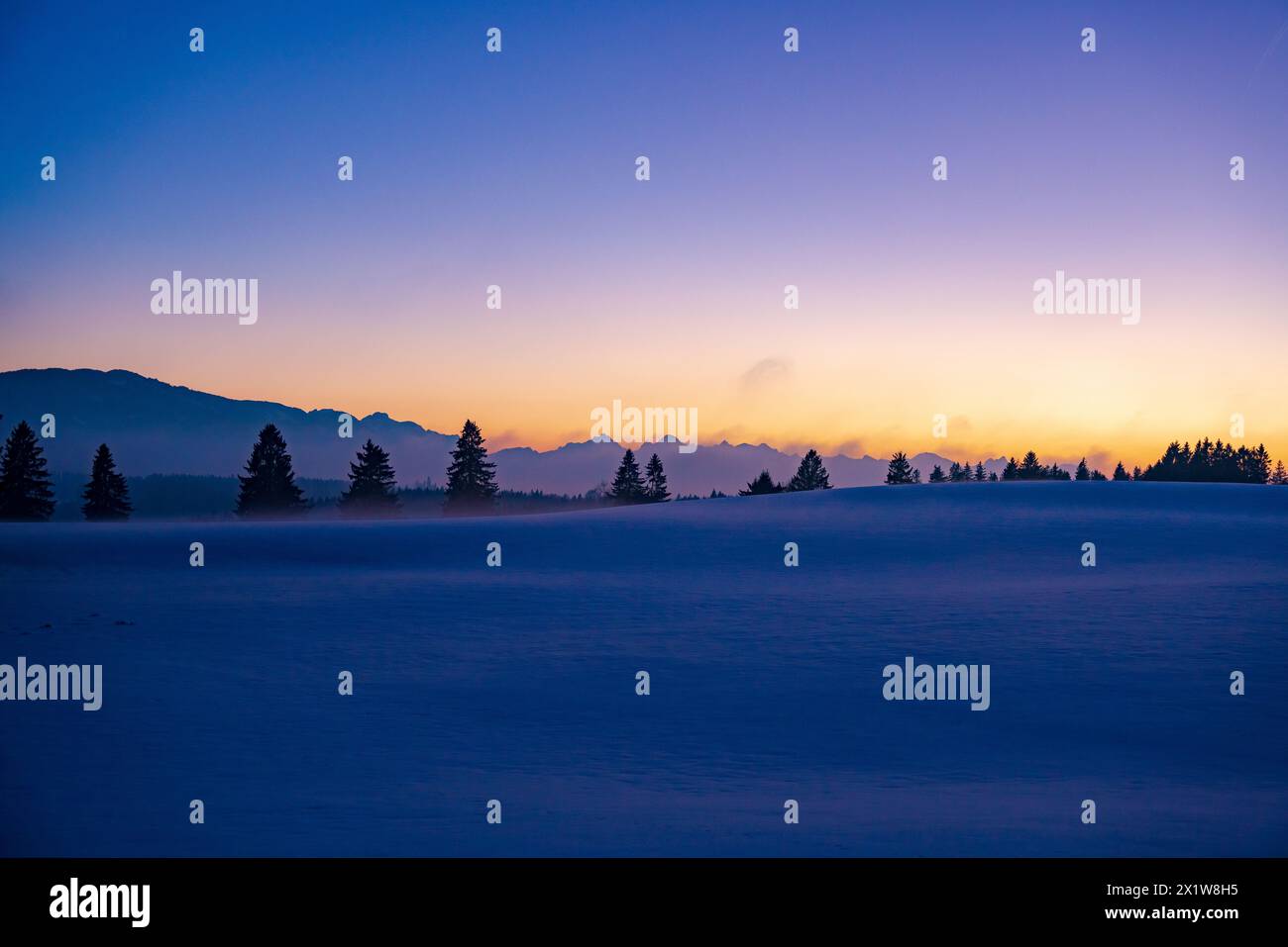 Winter, Landscape, Bavaria, snow, alps, forest, frozen Stock Photo - Alamy