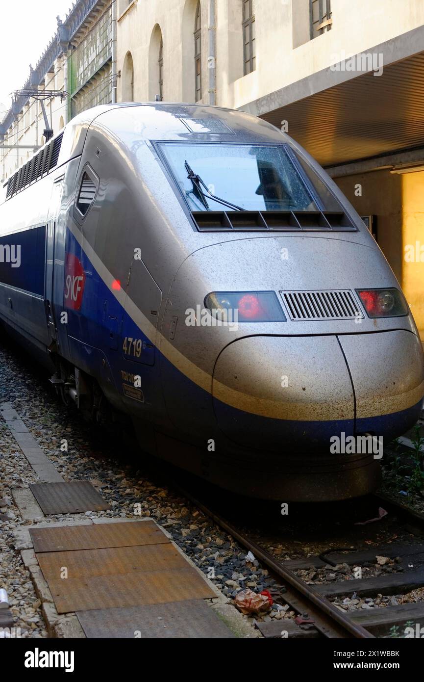 TGV at Marseille-Saint-Charles station, Marseille, blue TGV high-speed ...