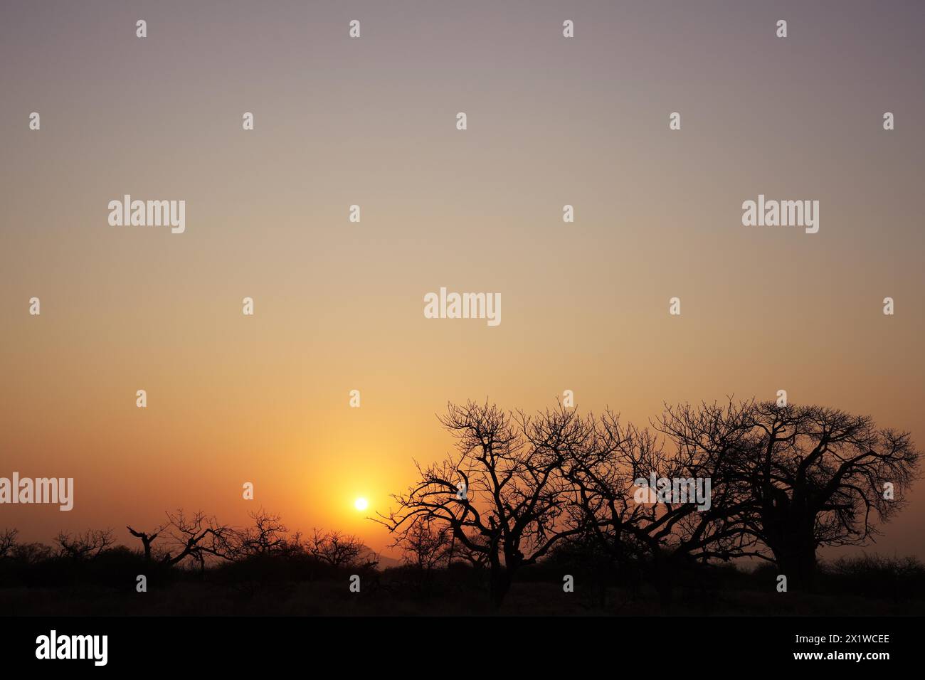 Landscape, Limpopo, South Africa Stock Photo - Alamy