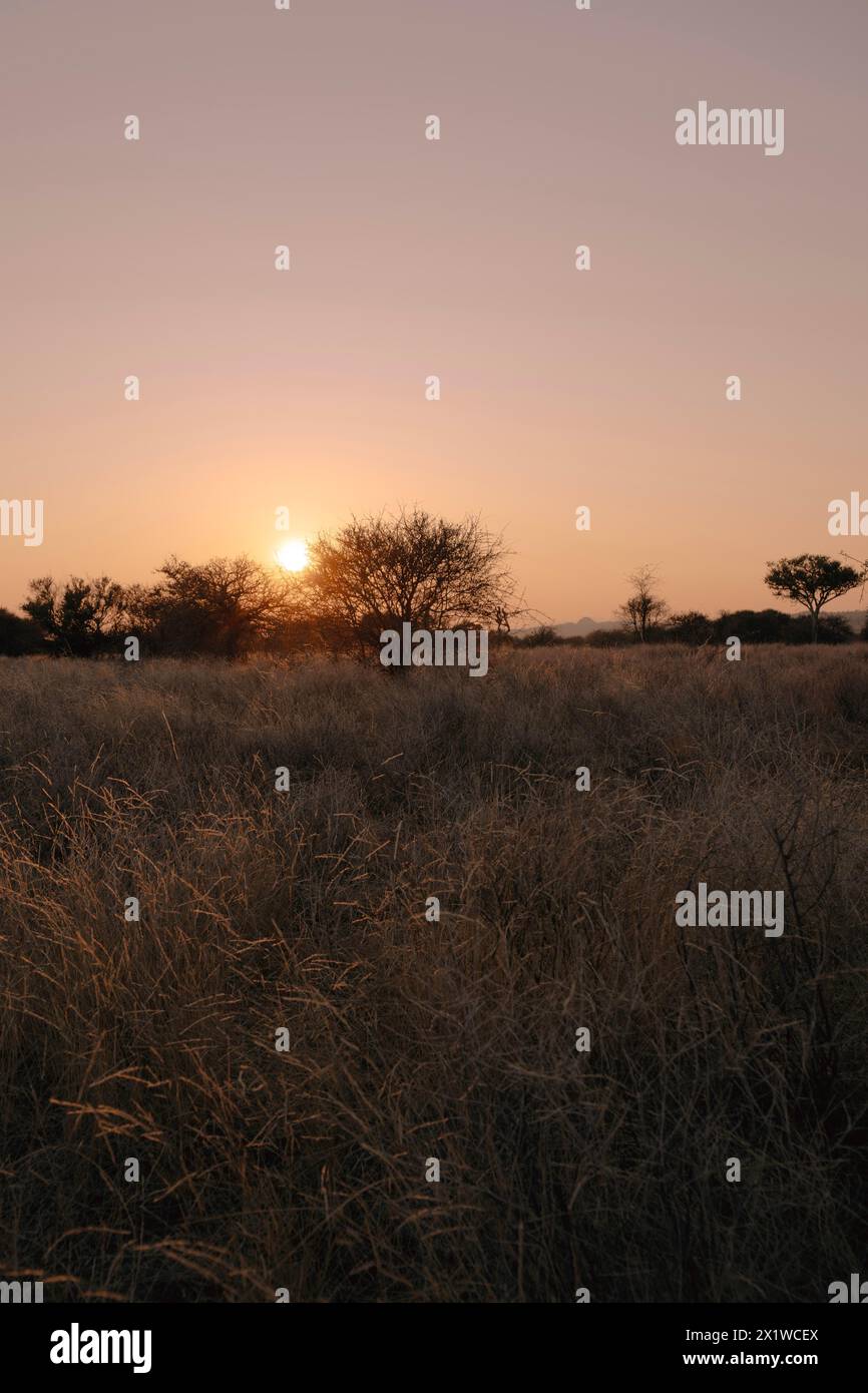 Landscape, Limpopo, South Africa Stock Photo - Alamy
