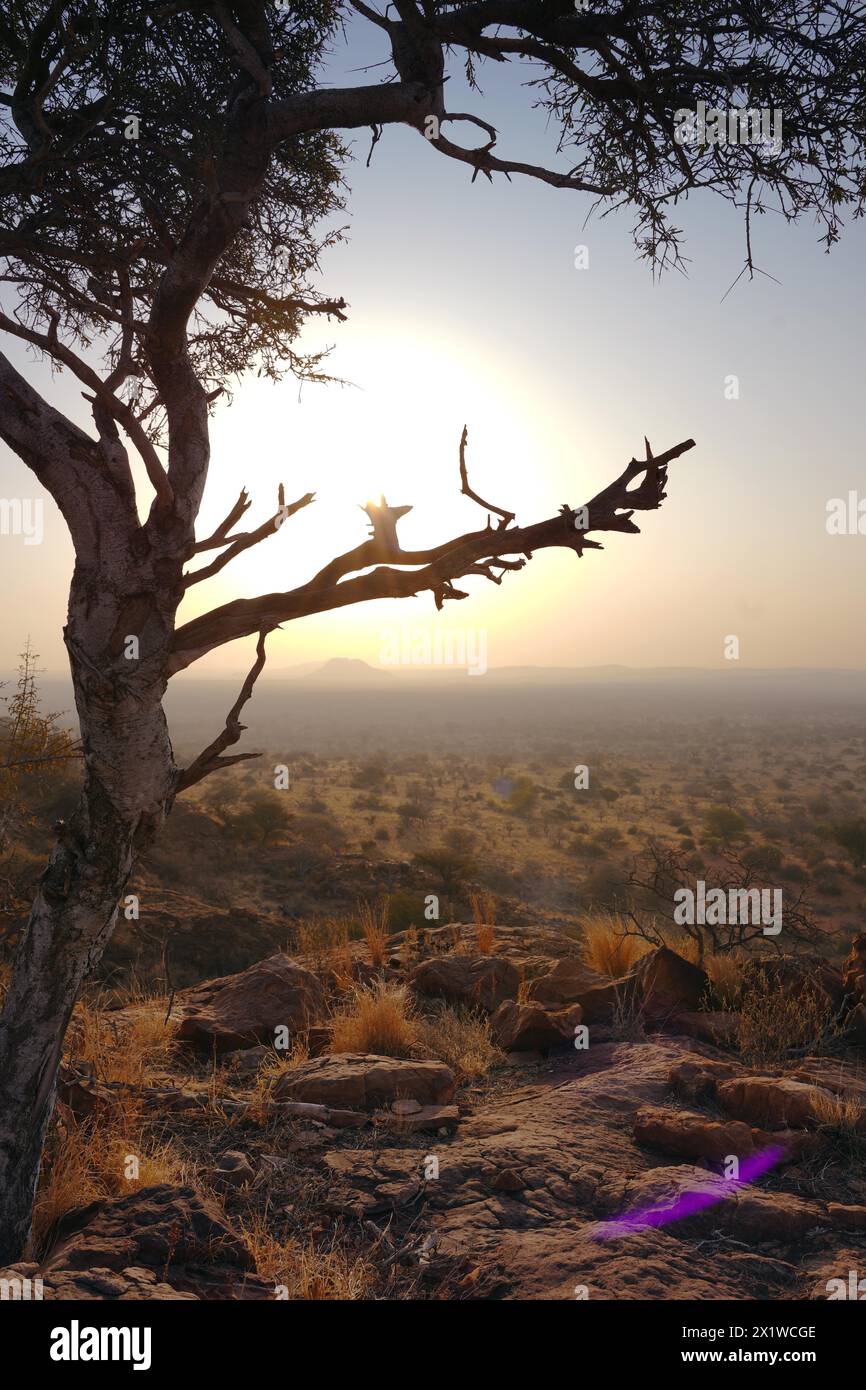Landscape, Limpopo, South Africa Stock Photo - Alamy
