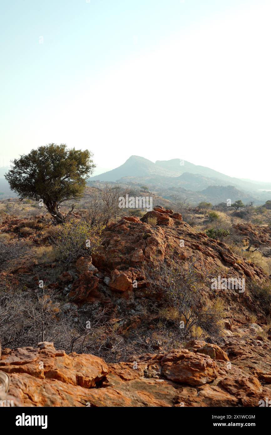 Landscape, Limpopo, South Africa Stock Photo - Alamy