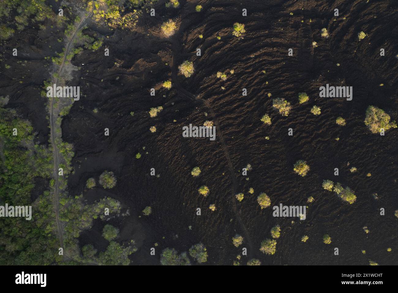 Black soil texture background hi-res stock photography and images - Alamy