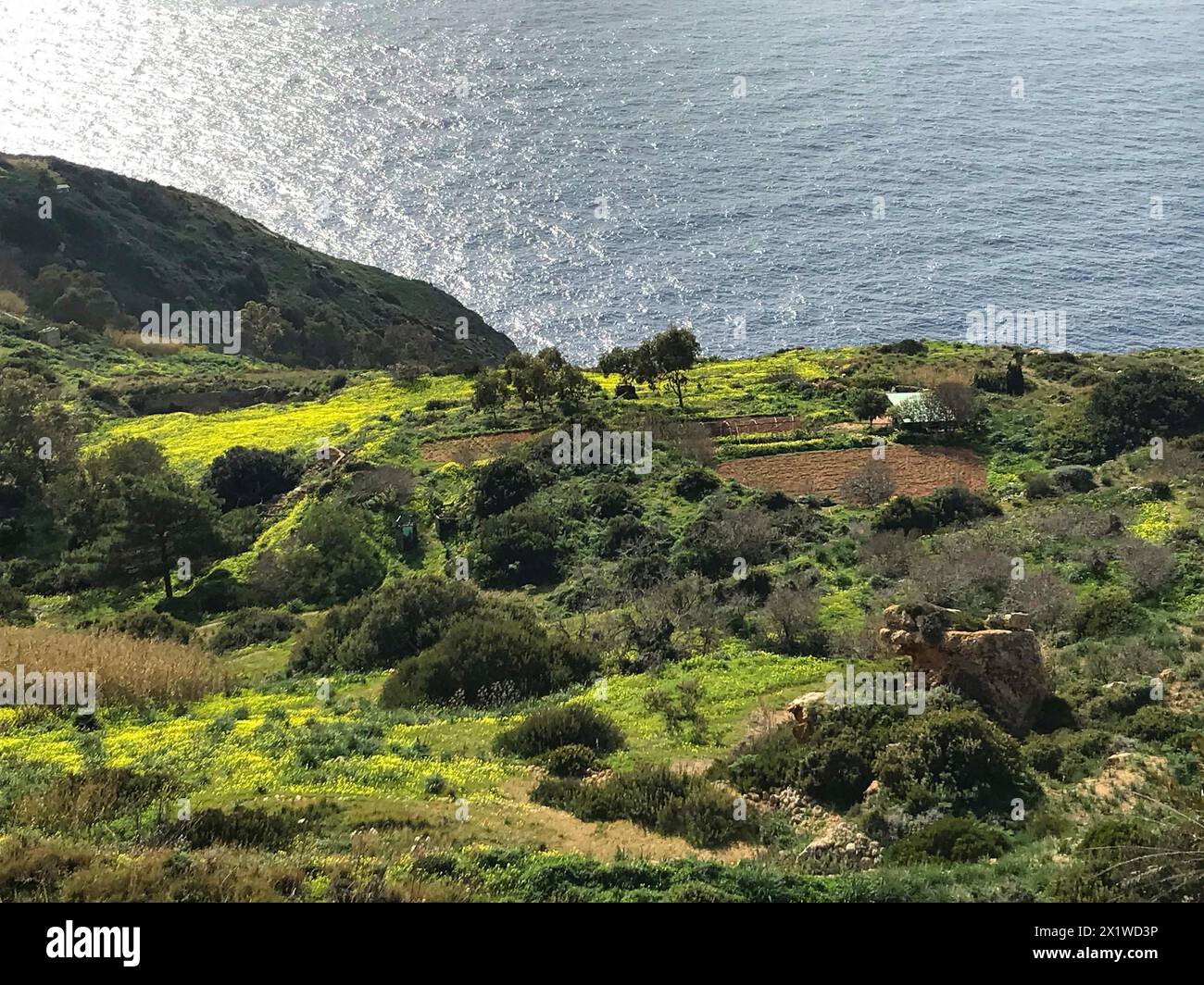 Coastal landscape in Malta, Mediterranean Sea, Republic of Malta Stock ...