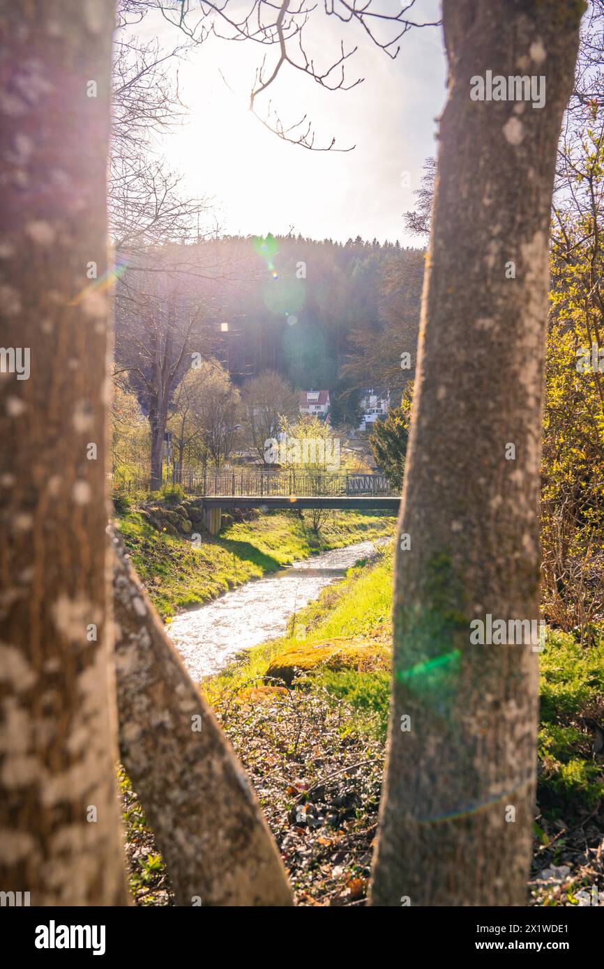View through trees along a river with sunbeams breaking through, spring ...