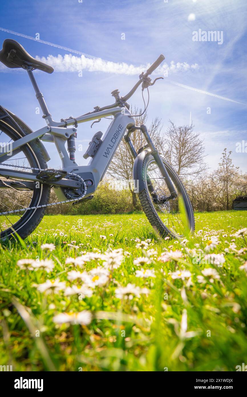 A bicycle leaning on a blooming meadow in the bright sunshine, spring, E- Bike Waldbike ...