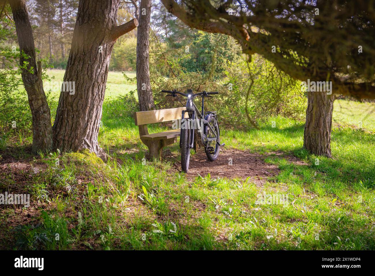 A mountain bike leaning near a bench in a peaceful forest, spring, e ...