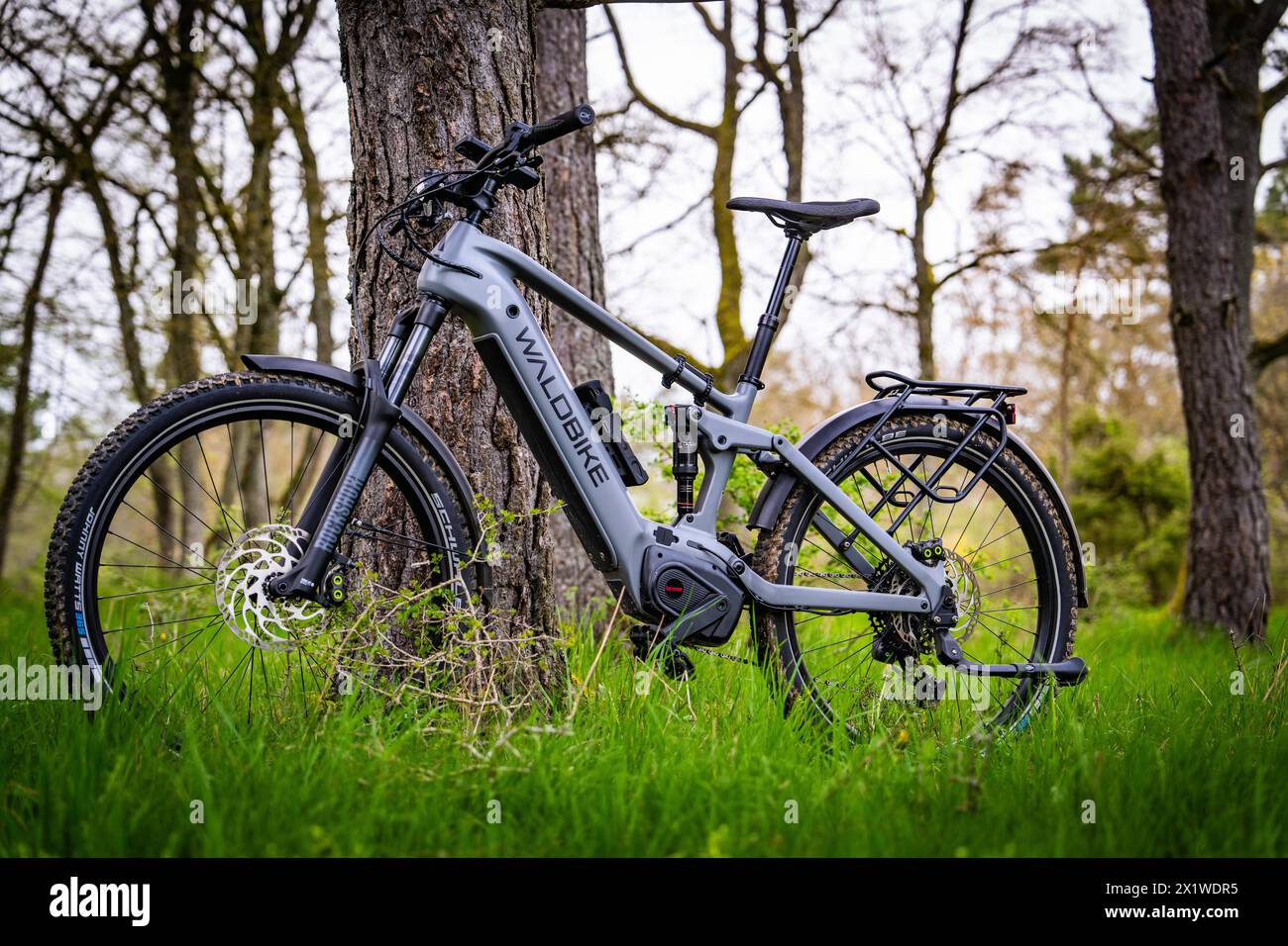 An e-bike leaning against a tree in a spring-like forest, spring, e ...