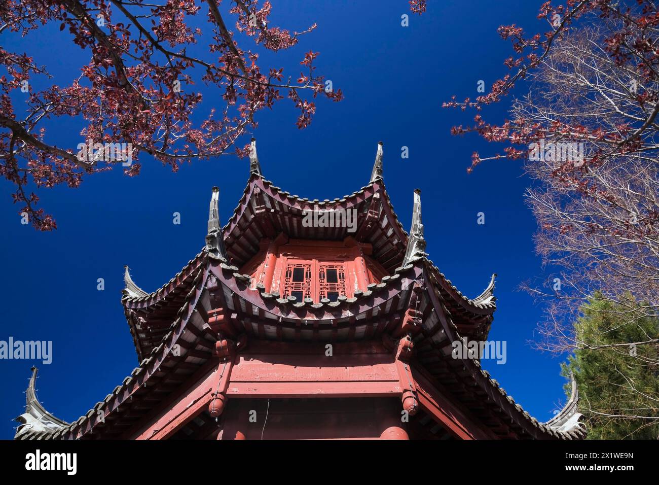 The Tower of Condensing Clouds pavilion framed by deciduous trees in ... The Tower of Condensing Clouds pavilion framed by deciduous trees in ...
