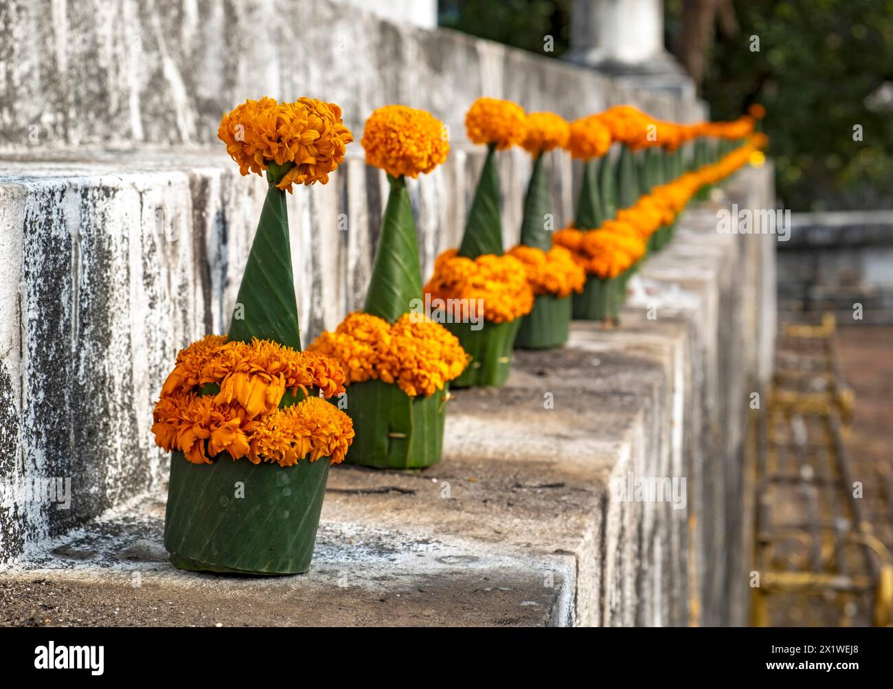 Orange-colored marigold flowers used to pay respect and homage to ...