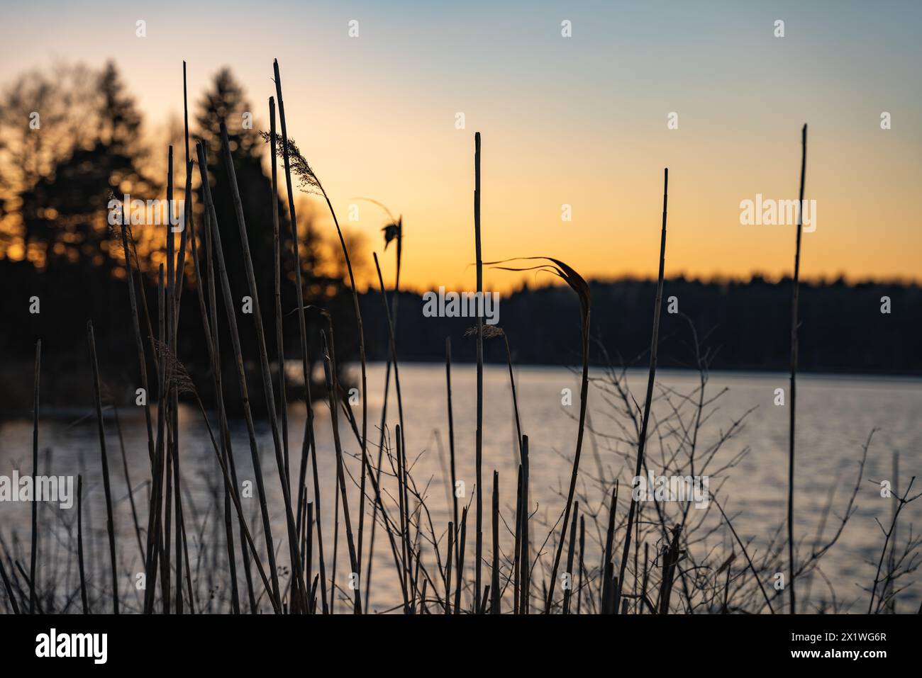 lake, river, sunset, evening mood, lakeside, landscape, nature Stock ...