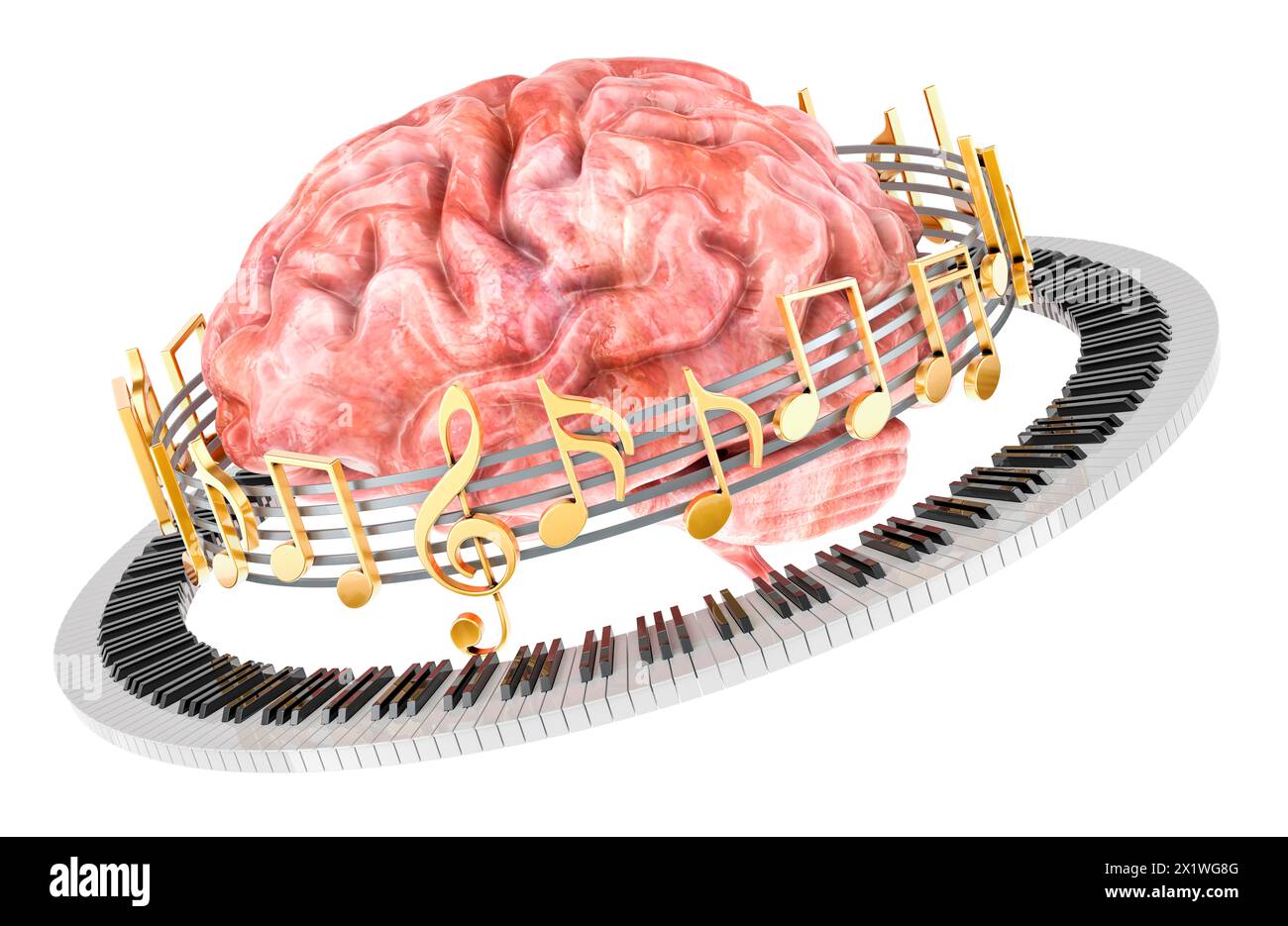 Brain with piano keyboard and musical notes around, music concept. 3D ...