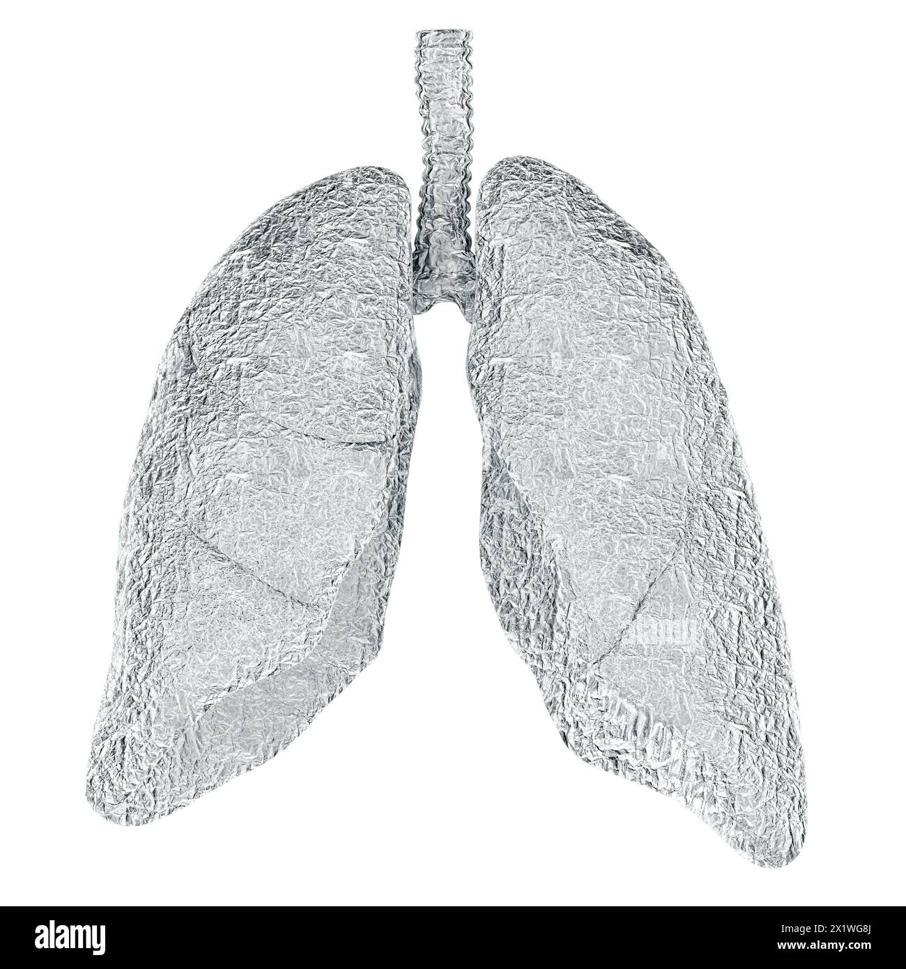 Human lungs wrapped in foil, 3D rendering isolated on white background ...