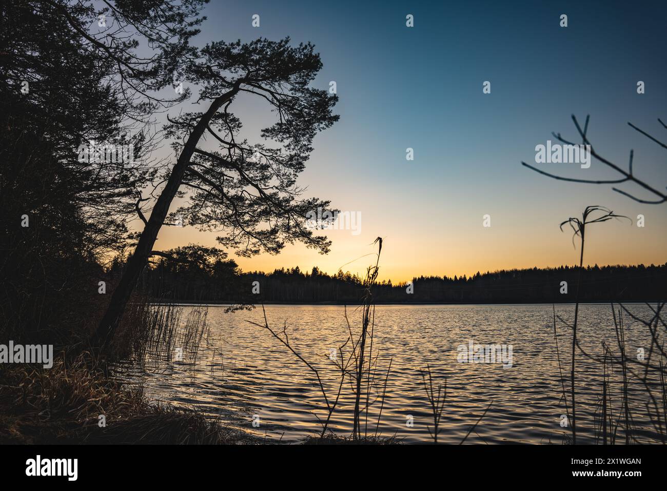 lake, river, sunset, evening mood, lakeside, landscape, nature Stock ...