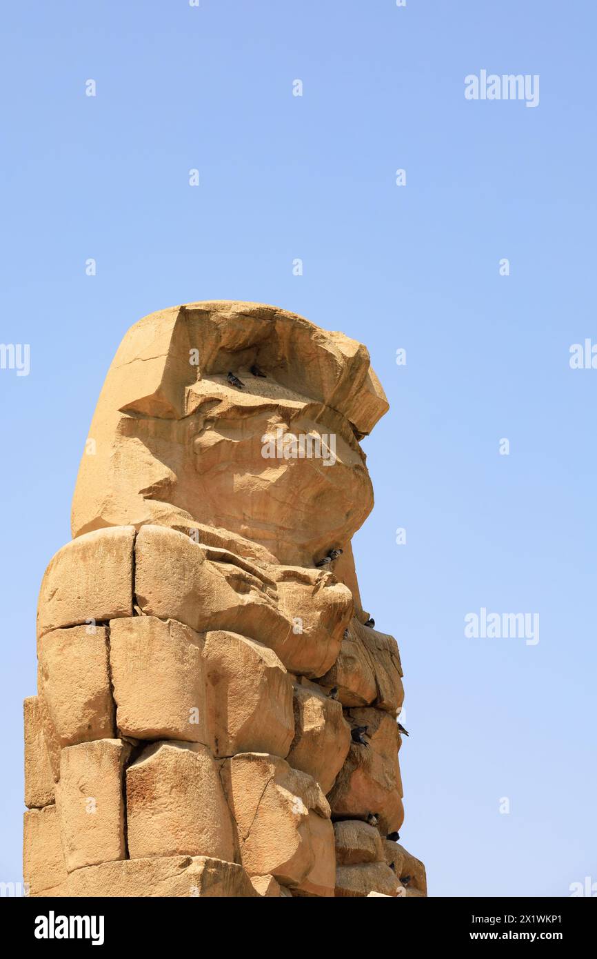 The giant Colossi of Memnon. All that remains of the Temple of ...
