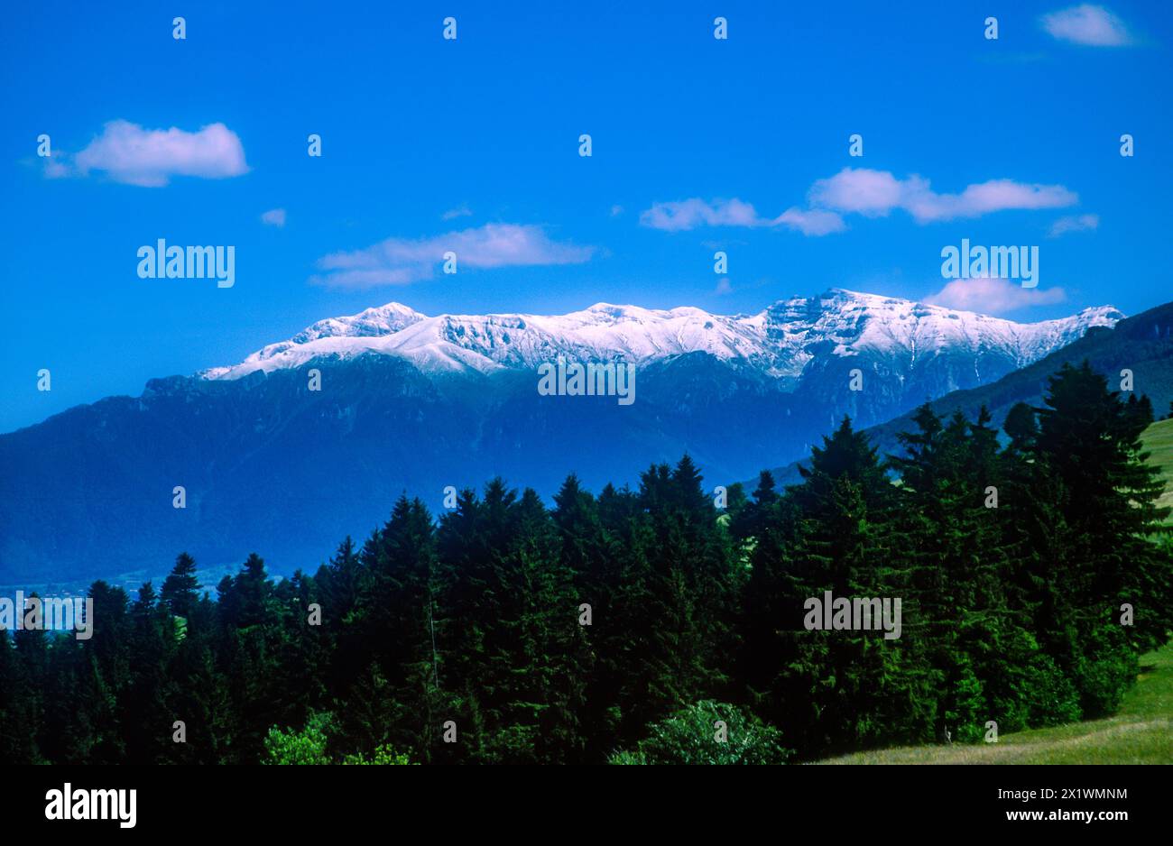 Carpathian Mountains in Romania Stock Photo - Alamy