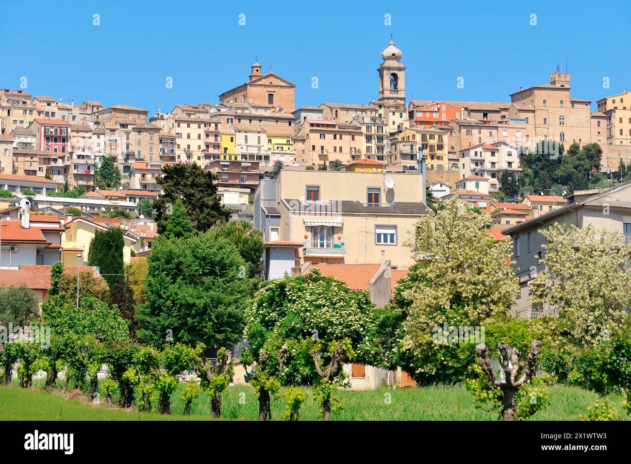 Castelfidardo accordion hi-res stock photography and images - Alamy