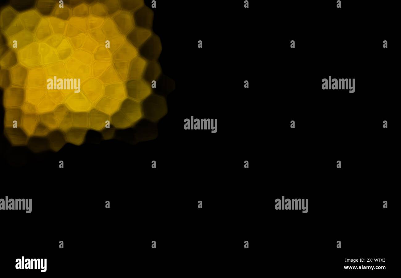 Black hexagon honeycomb shapes hi-res stock photography and images - Alamy