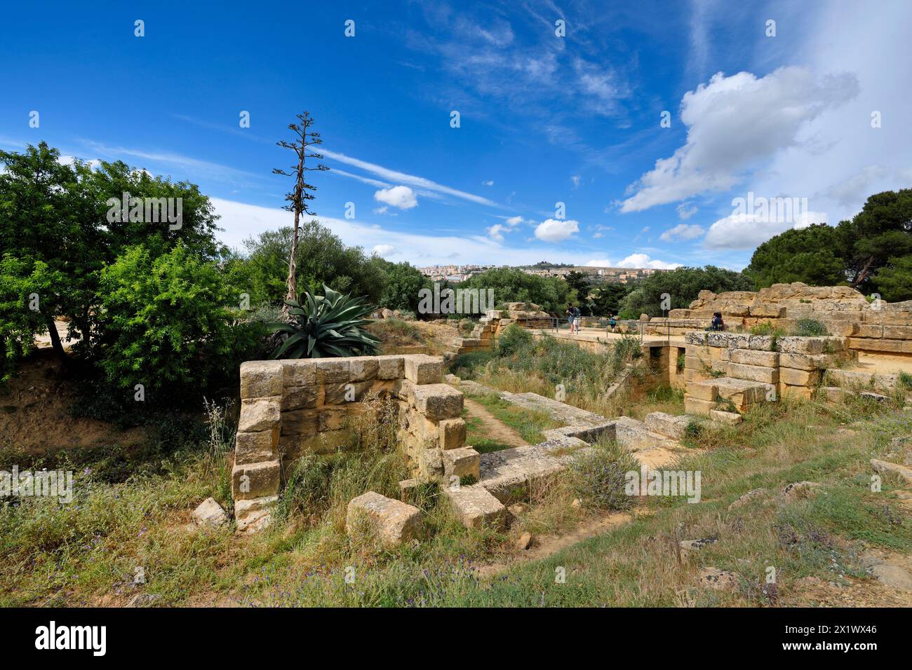 Temple of Jupiter Olympic Zeus. Valley of the Temples. Agrigento ...