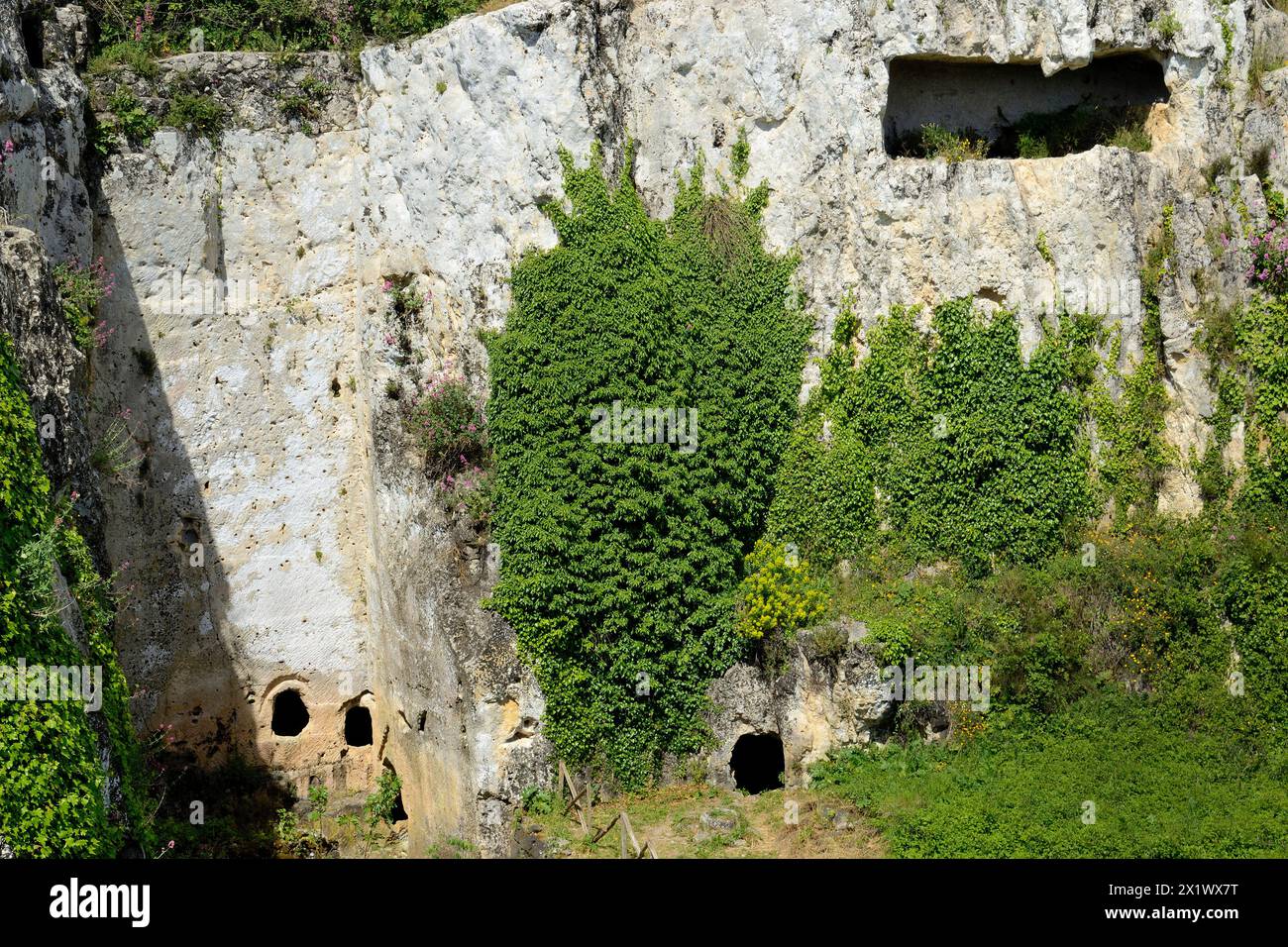 latomia dell'intagliata, area archeologica di akrai, palazzolo acreide ... latomia dell'intagliata, area archeologica di akrai, palazzolo acreide ...