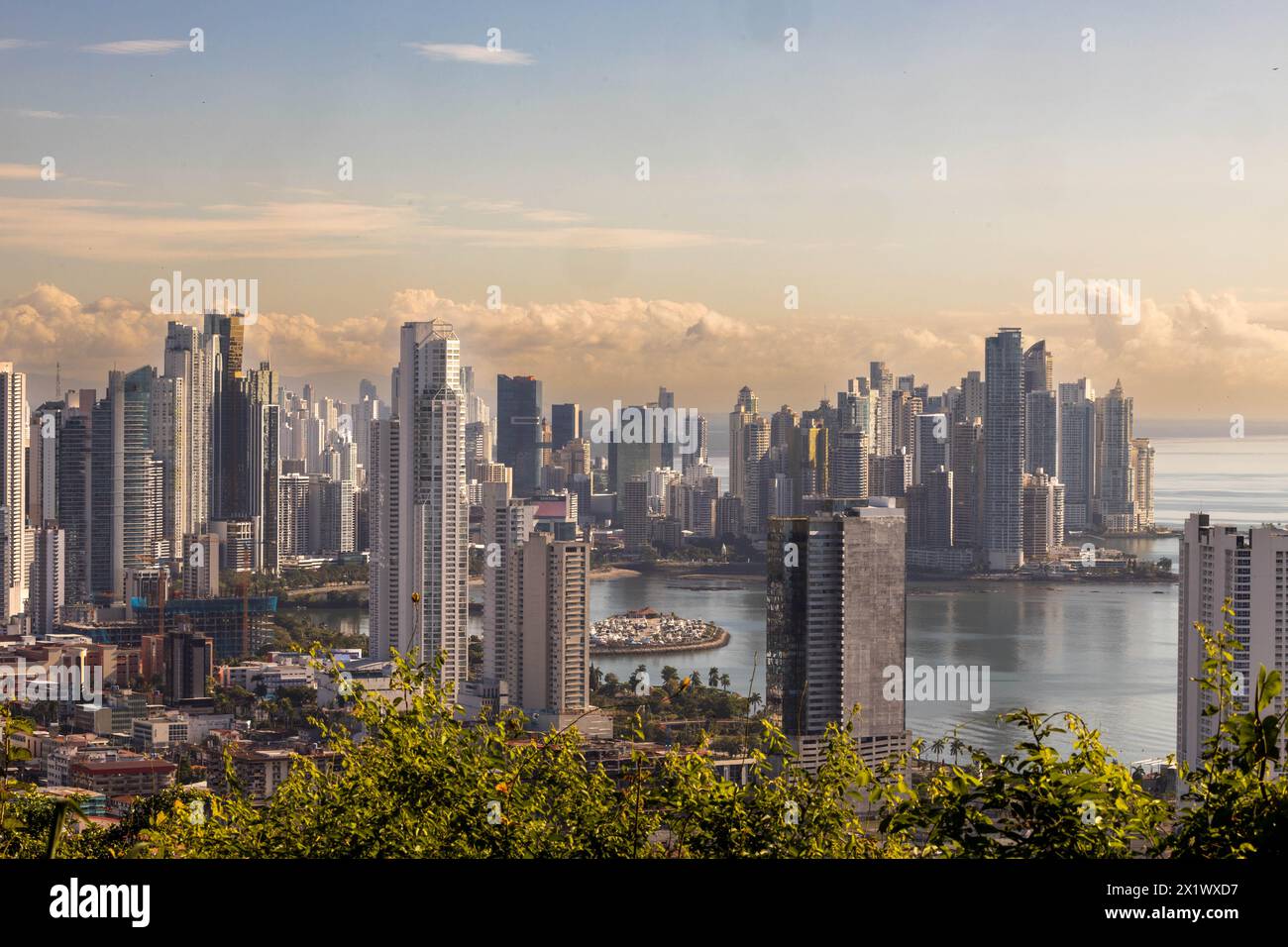 Panama City skyscraper from the mountain Stock Photo - Alamy