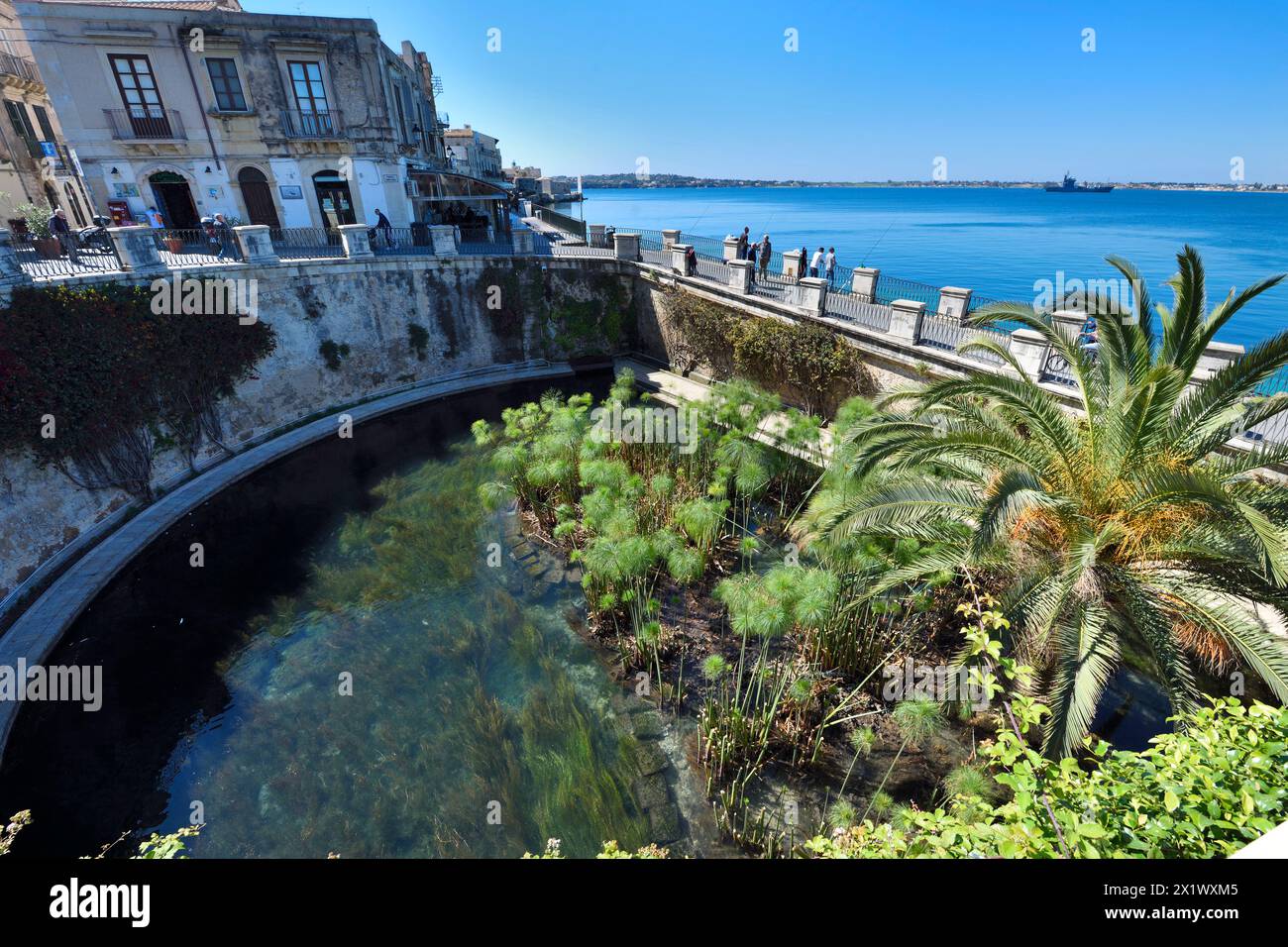 Source Aretusa. Island of Ortigia. Syracuse. Sicily Stock Photo - Alamy