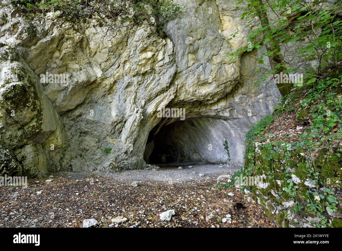 Damiani italy hi-res stock photography and images - Alamy