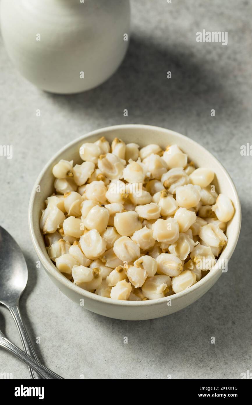 Raw Cooked White Mexican Hominy Corn in a Bowl Stock Photo - Alamy