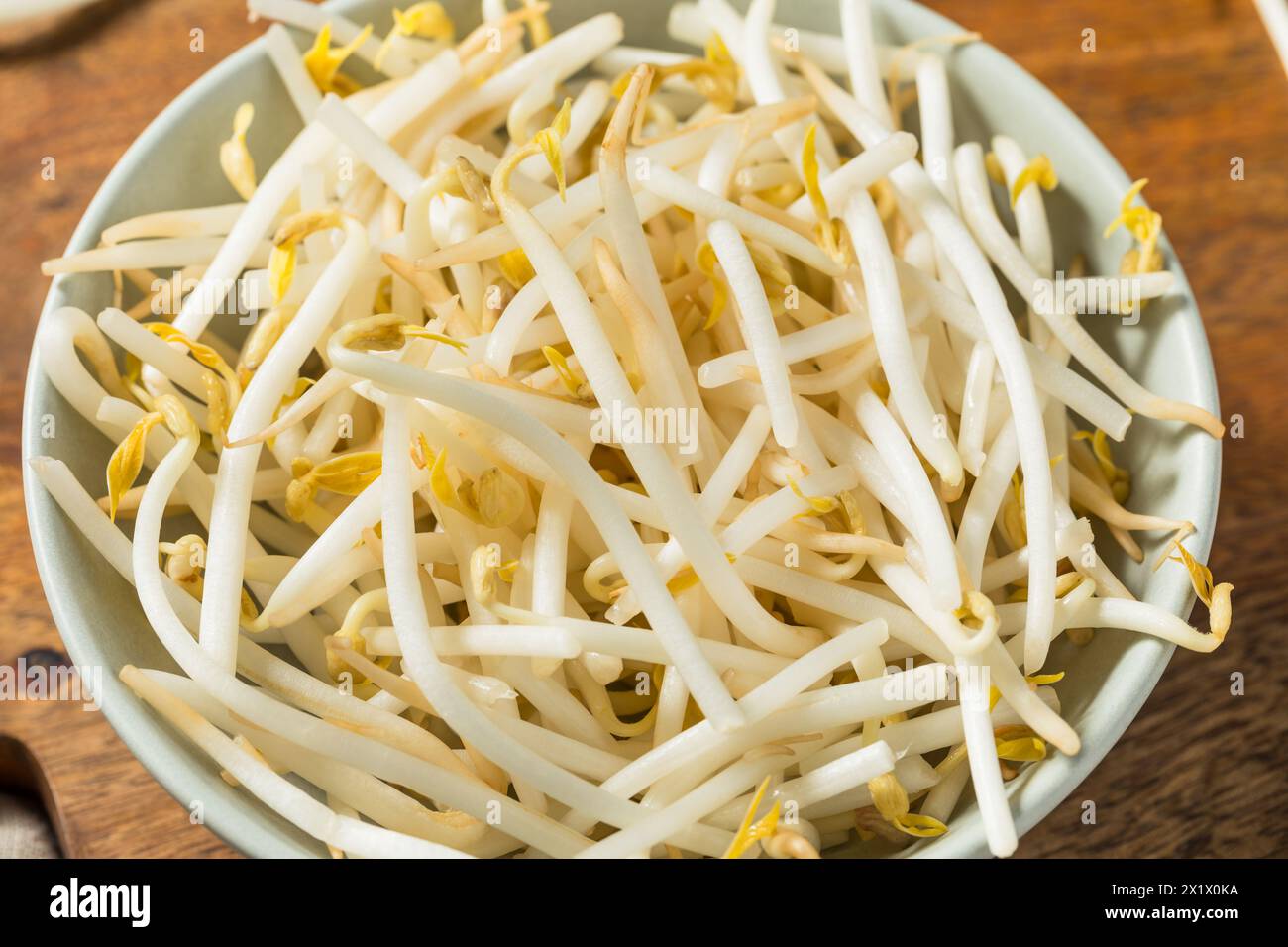 Sprouts mung beans hi-res stock photography and images - Alamy