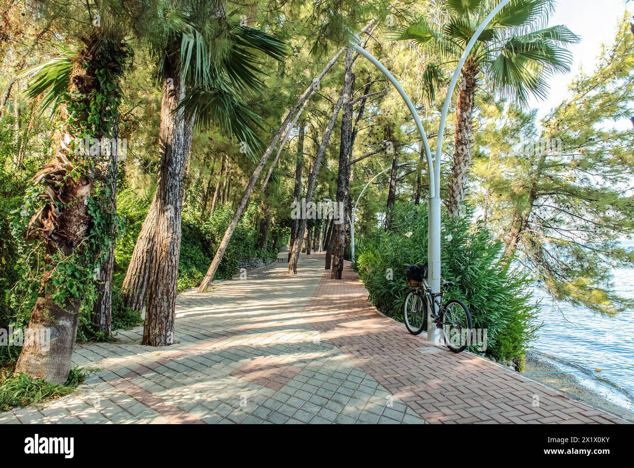 Coastal paved promenade in a resort town with lush foliage and tall ...