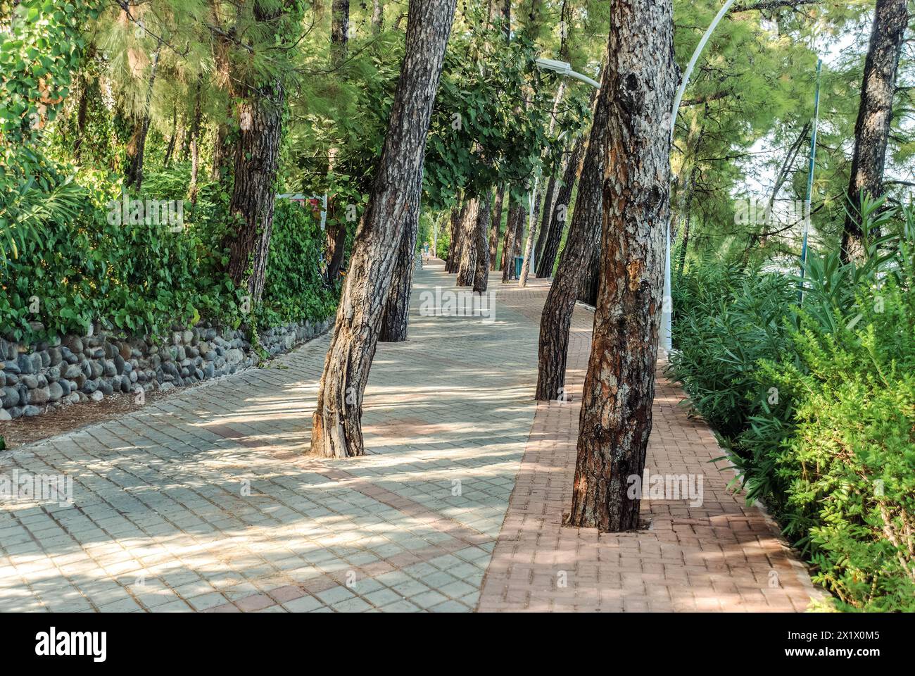 Coastal paved promenade in a resort town with lush foliage and tall ...