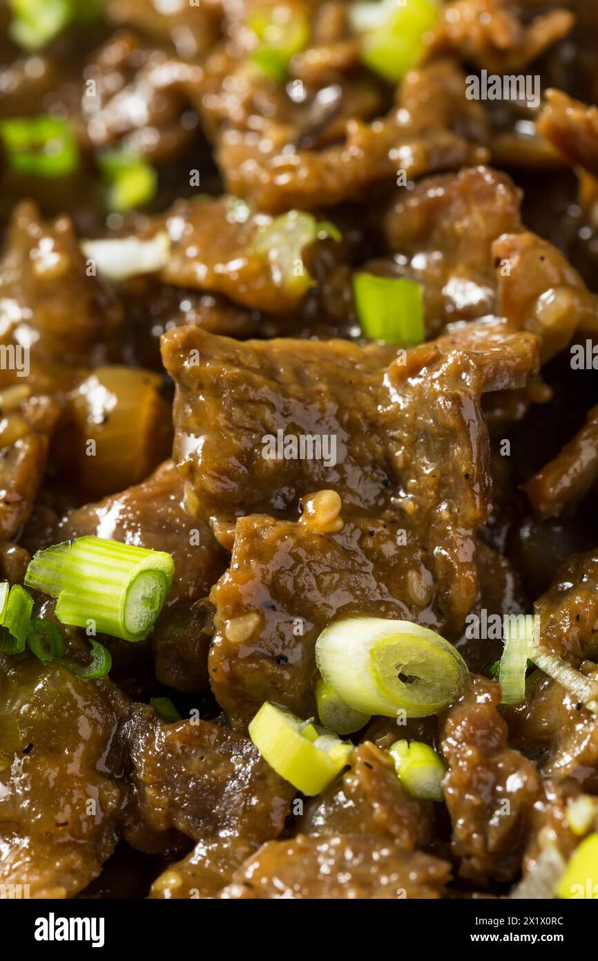 Spicy Korean Beef Bulgogi with Sauce and Scallions Stock Photo - Alamy