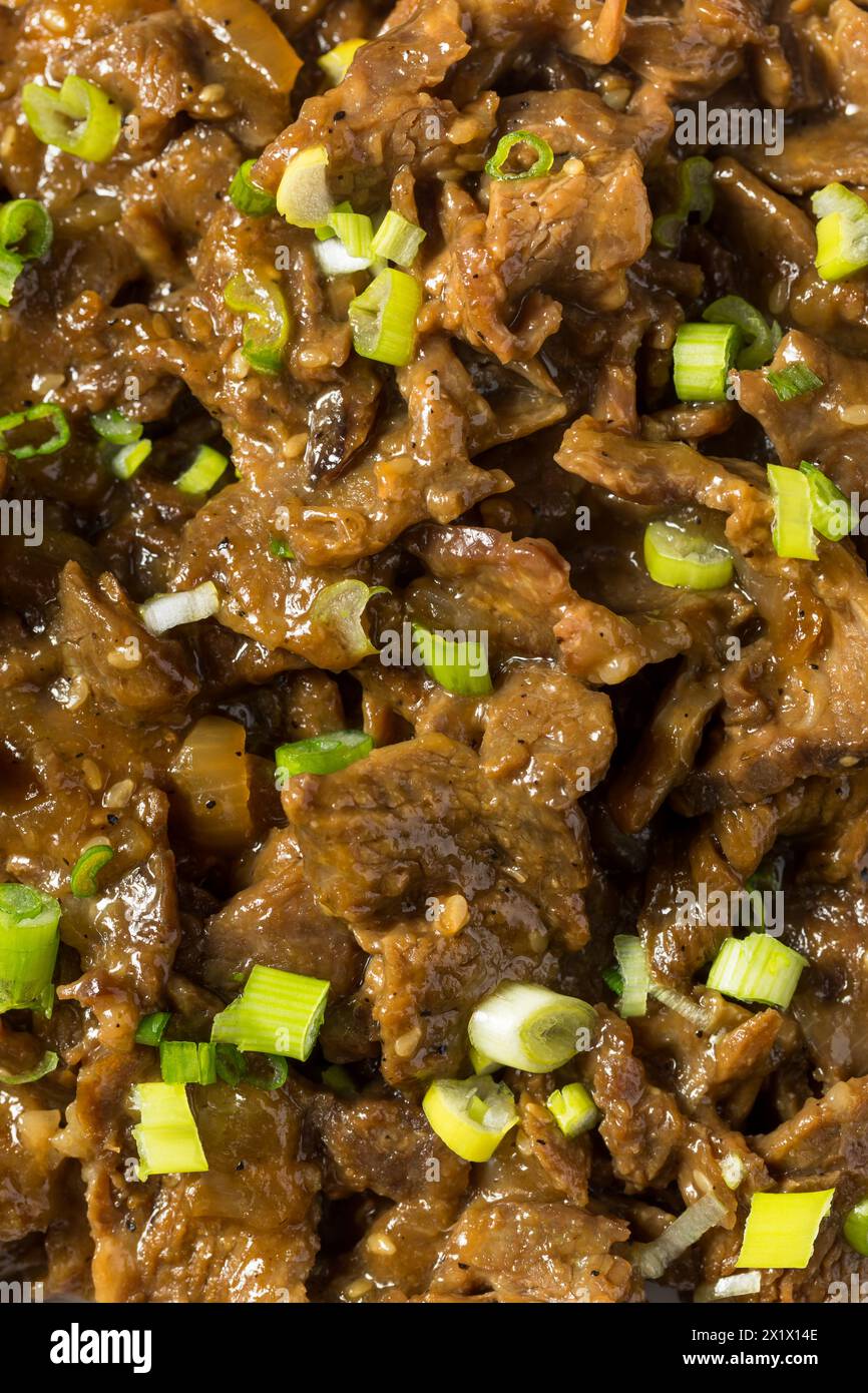 Spicy Korean Beef Bulgogi with Sauce and Scallions Stock Photo - Alamy