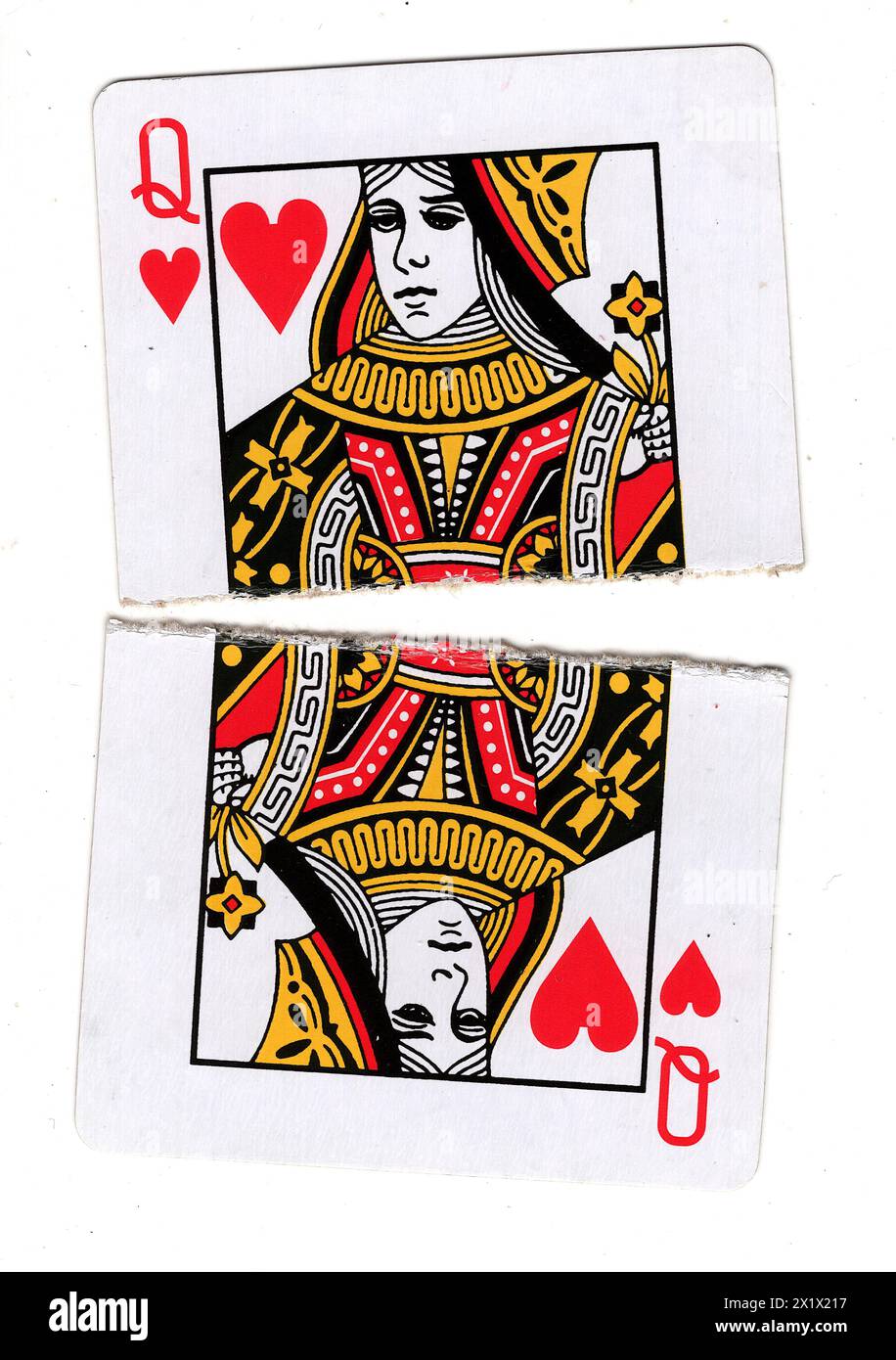 A queen of hearts playing card torn in half on a white background Stock ...