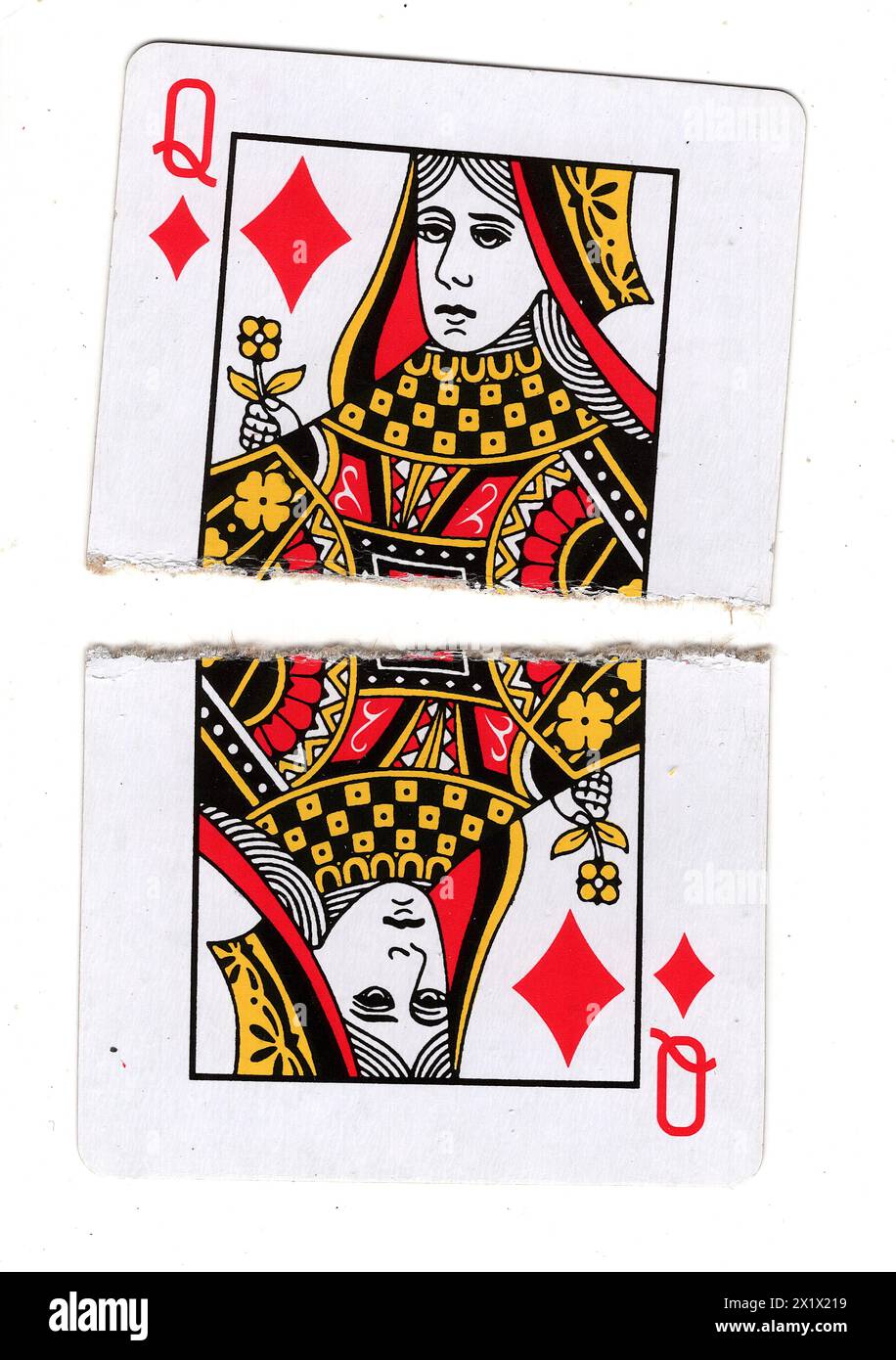 A queen of diamonds playing card torn in half on a white background ...
