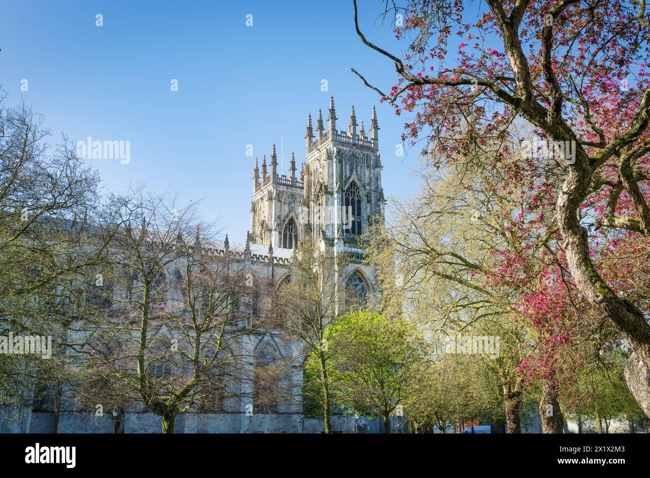 York Minster's west bell towers from the Dean's Court garden in ...