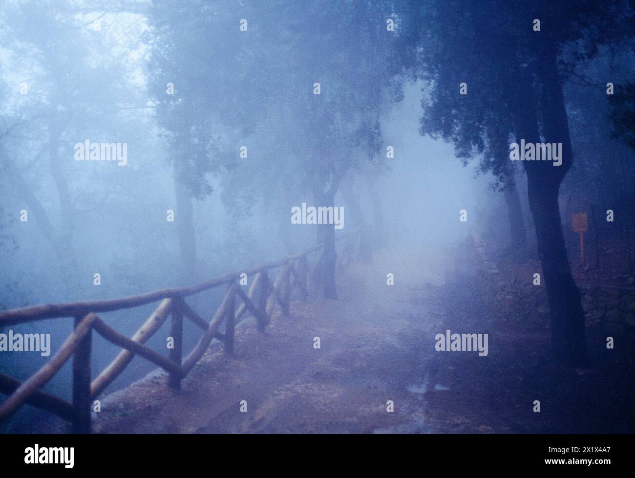 Parque natural de la font roja hi-res stock photography and images - Alamy