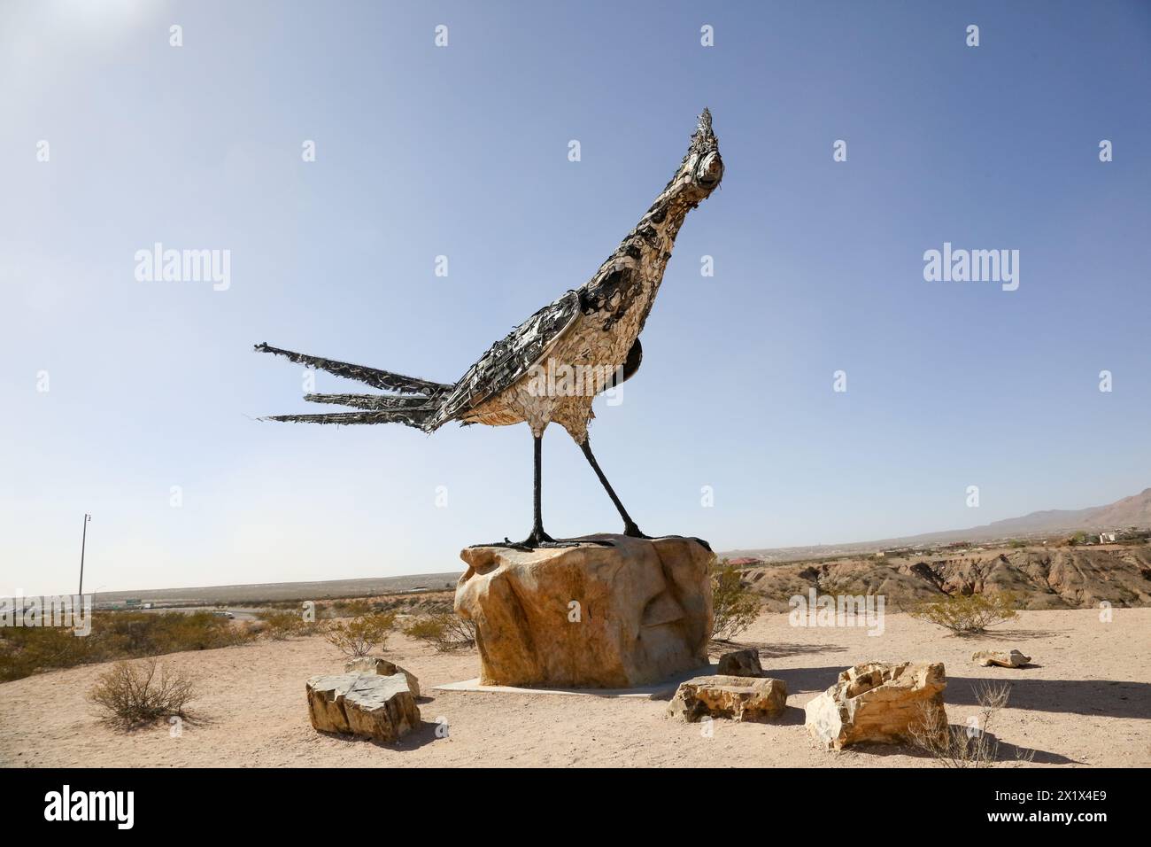 Roadrunner sculpture hi-res stock photography and images - Alamy