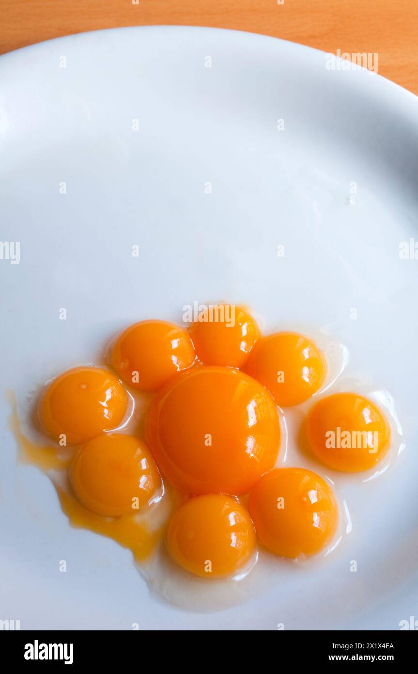 Egg yolk flower Stock Photo - Alamy